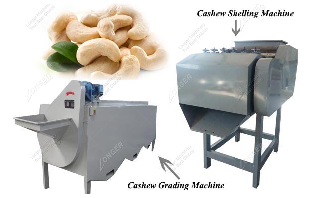 400 KG Raw Cashew Nut Processing Machine Supplier in China